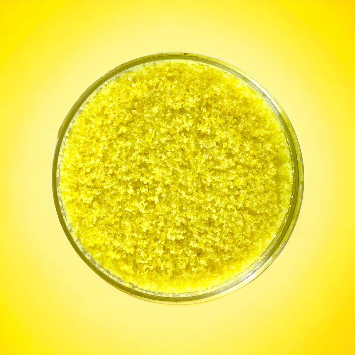 PINA COLADA BODY SCRUB - ♡HINA♡ – Sugar Monster